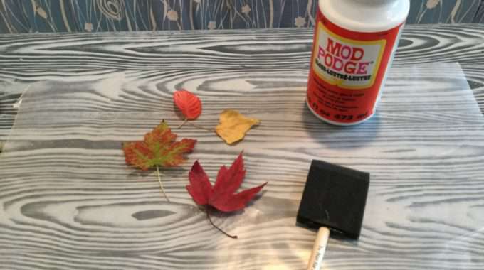 I Love Fall: 23 Reasons Why You Should Love the Autumn Season - Chas ...