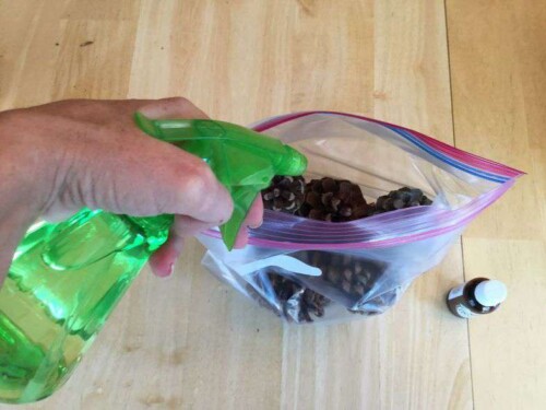 Easy Scented Pinecones