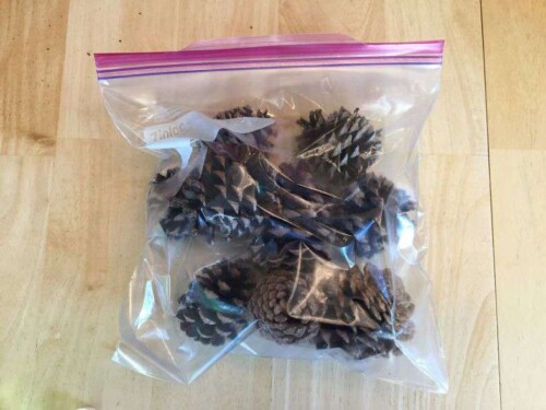 Easy Scented Pinecones