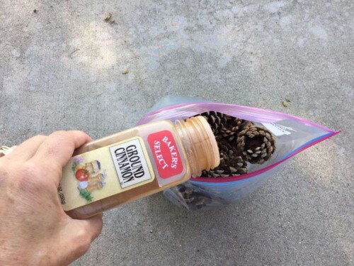 Easy Scented Pinecones