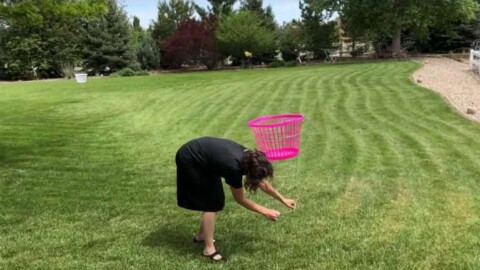 Easy DIY Disc Golf Basket for Frisbee Golf, Fun for Everyone! - Chas ...