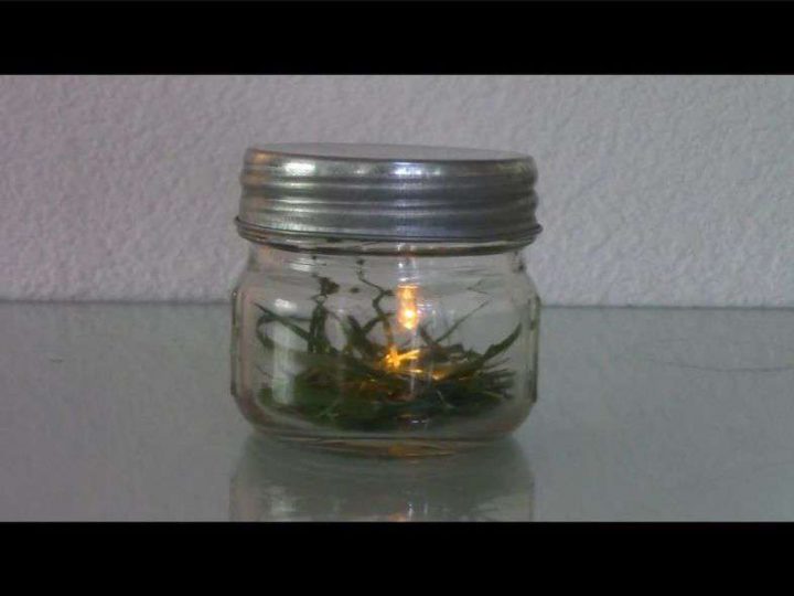 Awesome and Easy DIY Firefly In A Jar - Chas' Crazy Creations