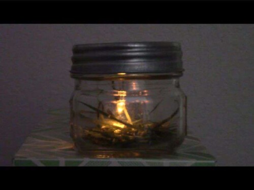 Awesome and Easy DIY Firefly In A Jar - Chas' Crazy Creations