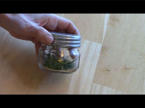 Awesome and Easy DIY Firefly In A Jar - Chas' Crazy Creations