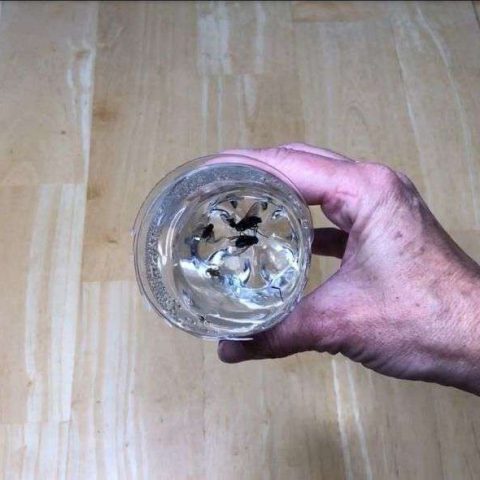 Gardening with Straw Bales Set Up - Chas' Crazy Creations