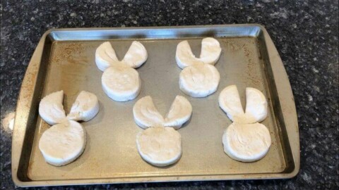 Bunny Biscuits Easy and Delicious - Chas' Crazy Creations