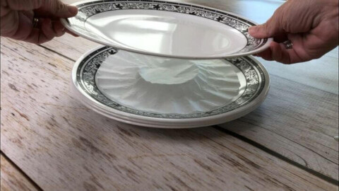 42 Unbelievable Coffee Filter Hacks with Video - Chas' Crazy Creations