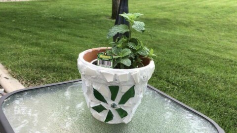 Super Cute Turtle Terra Cotta Pot DIY For Your Home - Chas' Crazy Creations