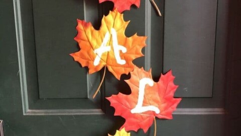 Easy Dollar Tree Fall Decor Ideas - Chas' Crazy Creations