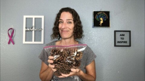 How To Make Pine Cones Smell Like Cinnamon - Chas' Crazy Creations