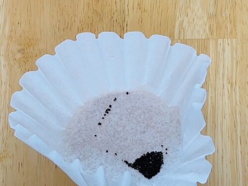 42 Unbelievable Coffee Filter Hacks with Video - Chas' Crazy Creations