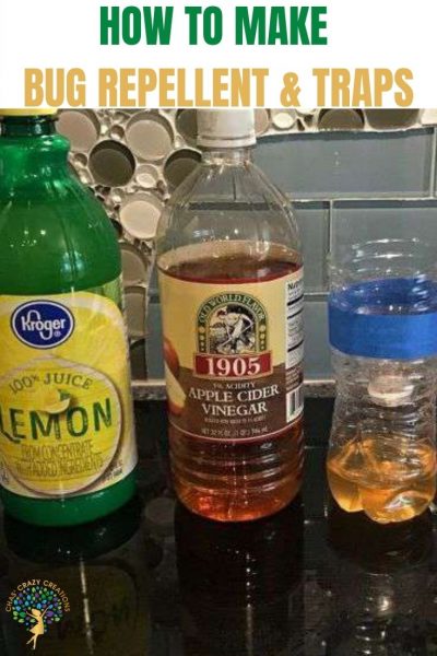 Amazing Inexpensive DIY Bug Killer, Repellents, and Traps - Chas' Crazy ...