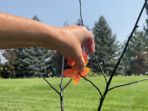 Awesome and Easy DIY Fall Tree Branch with Video - Chas' Crazy Creations