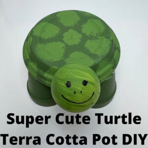 Super Cute Turtle Terra Cotta Pot DIY For Your Home - Chas' Crazy Creations