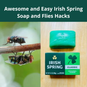 Awesome and Easy Irish Spring Soap and Flies Hacks - Chas' Crazy Creations