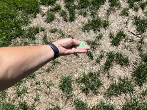 Awesome and Easy Irish Spring Soap and Flies Hacks - Chas' Crazy Creations