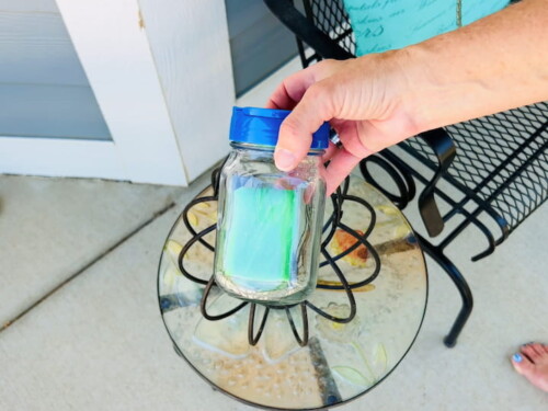 Awesome and Easy Irish Spring Soap and Flies Hacks - Chas' Crazy Creations