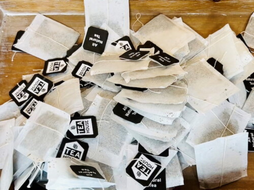 What To Do with Leftover Tea Bags Easy and Amazing DIYs with Video ...