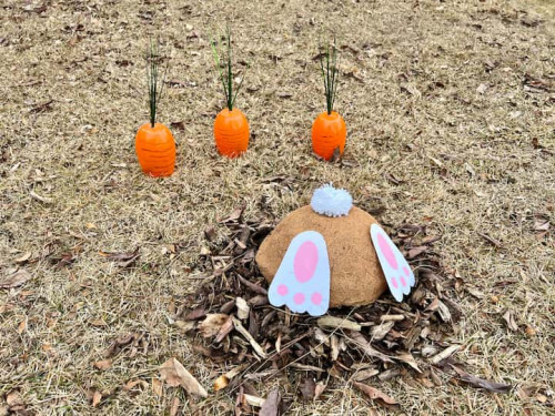 Spring Crafts For Adults and Kids: Fun And Easy Projects - Chas' Crazy ...