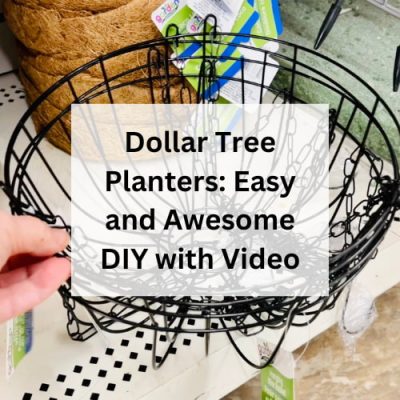Easy and Awesome DIY Dollar Tree Lazy Susan with Video - Chas' Crazy ...