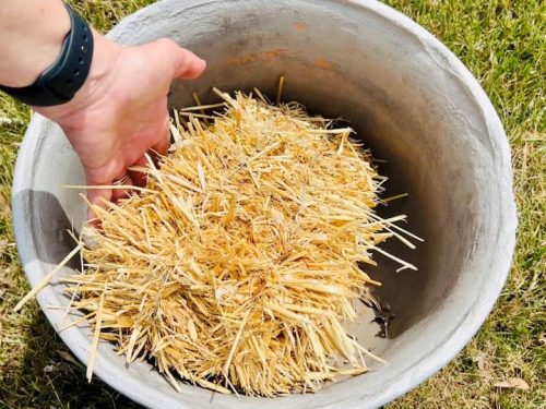 Cheapest Way to Fill Planters: Tips and Hacks - Chas' Crazy Creations