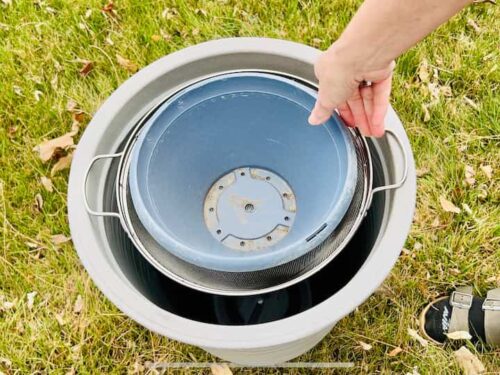 Cheapest Way to Fill Planters: Tips and Hacks - Chas' Crazy Creations