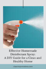 Effective Homemade Disinfectant Spray: A DIY Guide for a Clean and ...