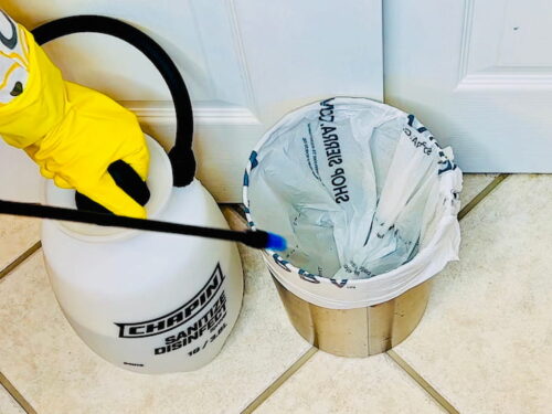 Effective Homemade Disinfectant Spray: A DIY Guide for a Clean and ...