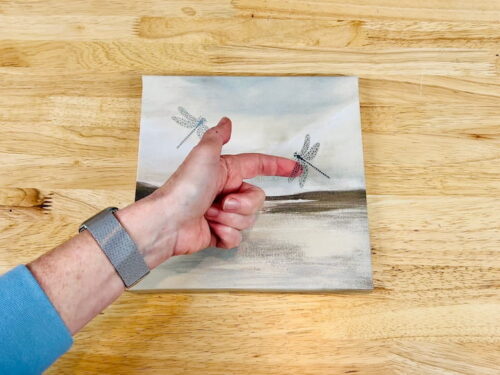 Easy DIY Dragonfly Craft with Video - Chas' Crazy Creations