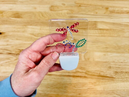 Easy DIY Dragonfly Craft with Video - Chas' Crazy Creations