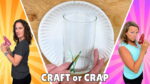 Delightful Easy Flower Crafts with Video - Chas' Crazy Creations