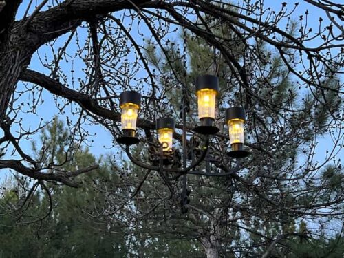 Creative Solar Light Ideas for Summer Nights - Chas' Crazy Creations