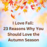 I Love Fall: 23 Reasons Why You Should Love the Autumn Season - Chas ...